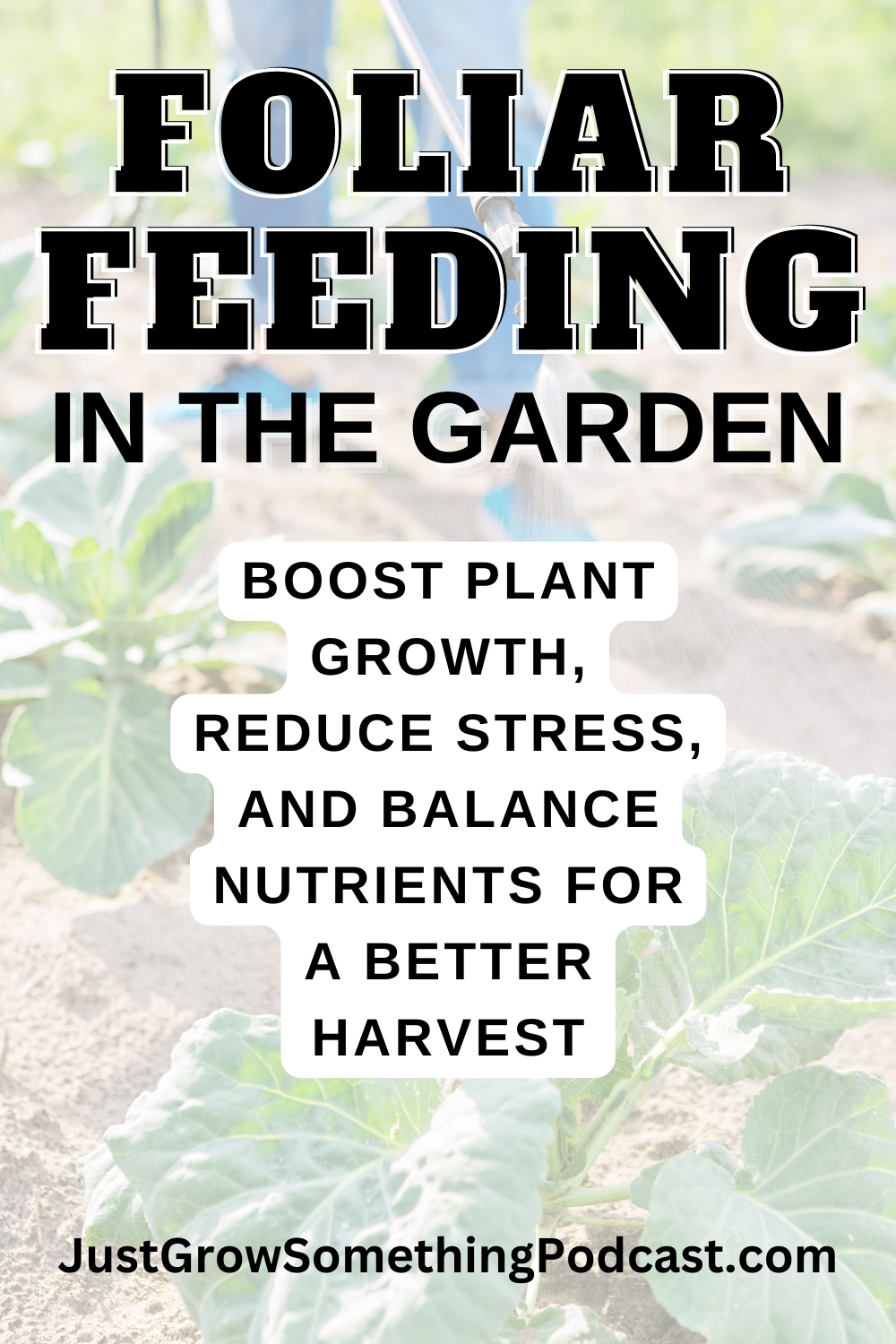 Foliar Feeding for Better Plant Nutrition | Just Grow Something with ...