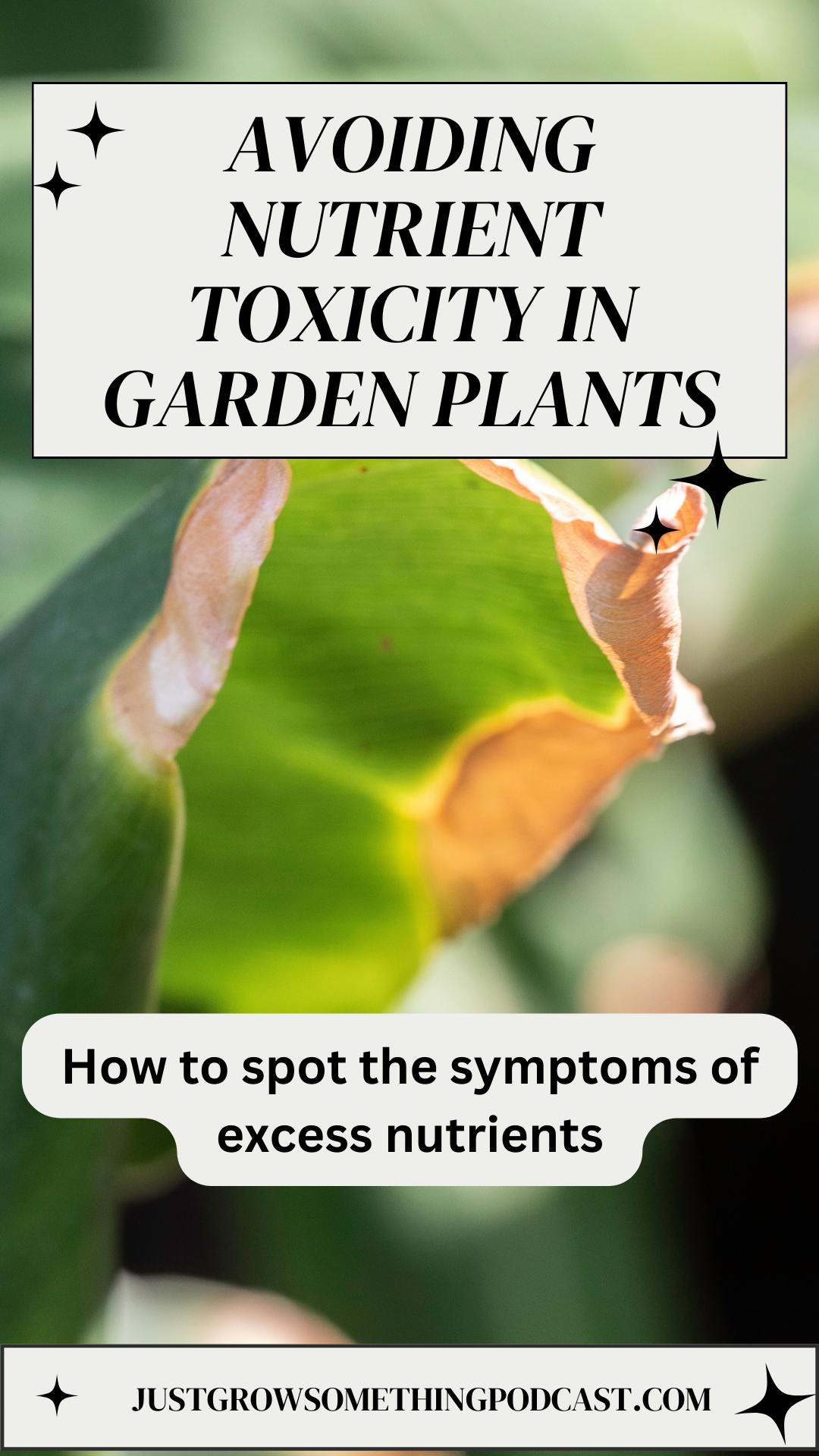 Indicators of Nutrient Toxicity in Garden Plants | Just Grow Something ...