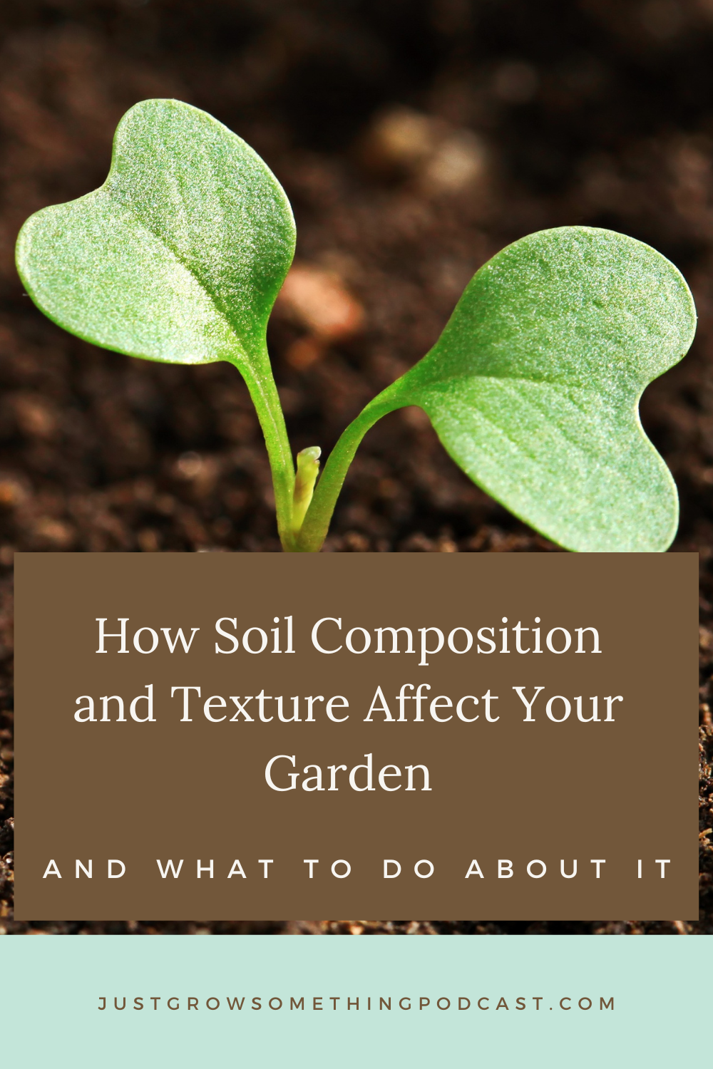 Soil Composition and Texture: What's in Your Garden? | Just Grow ...