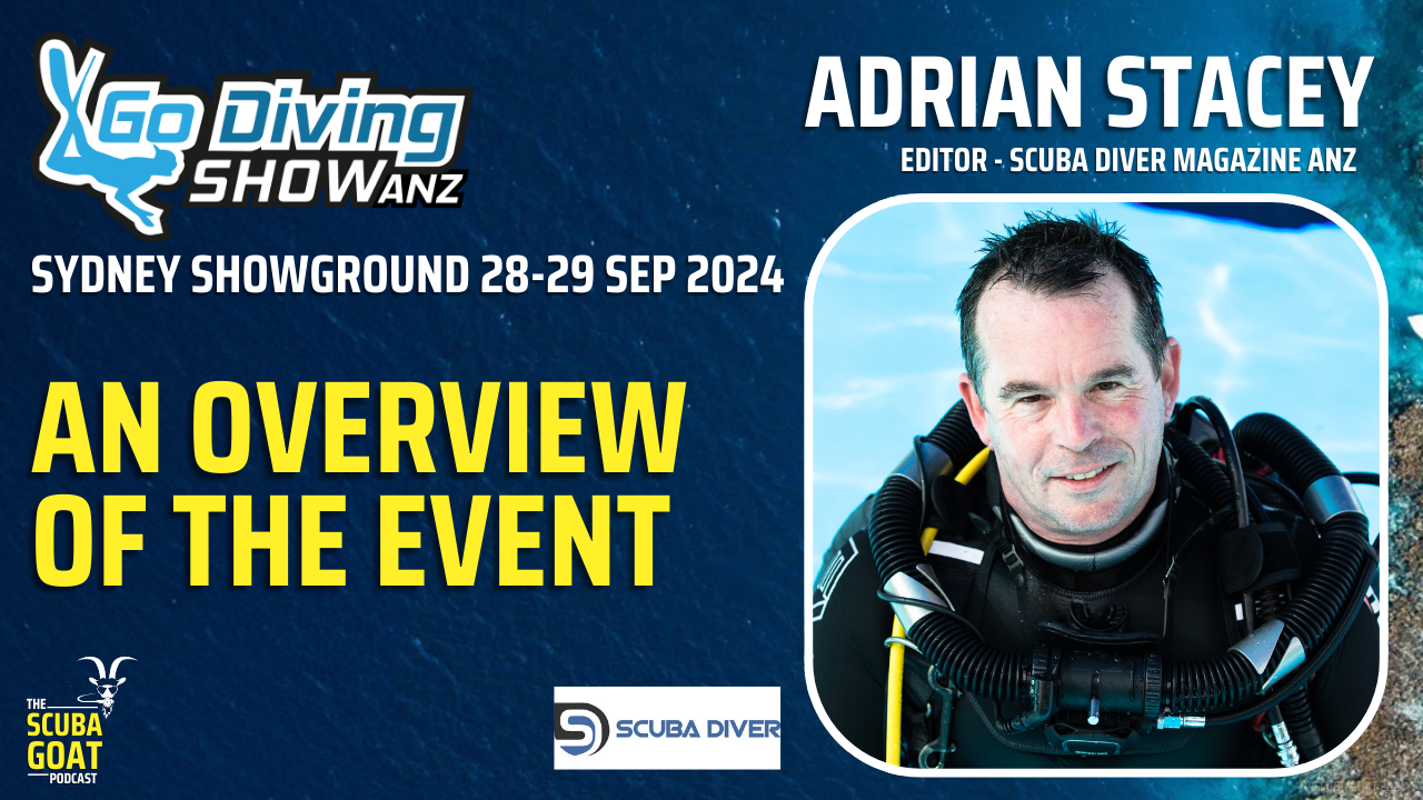 New Freediving Magazine Launched Deeperbluecom Go Diving Show ANZ